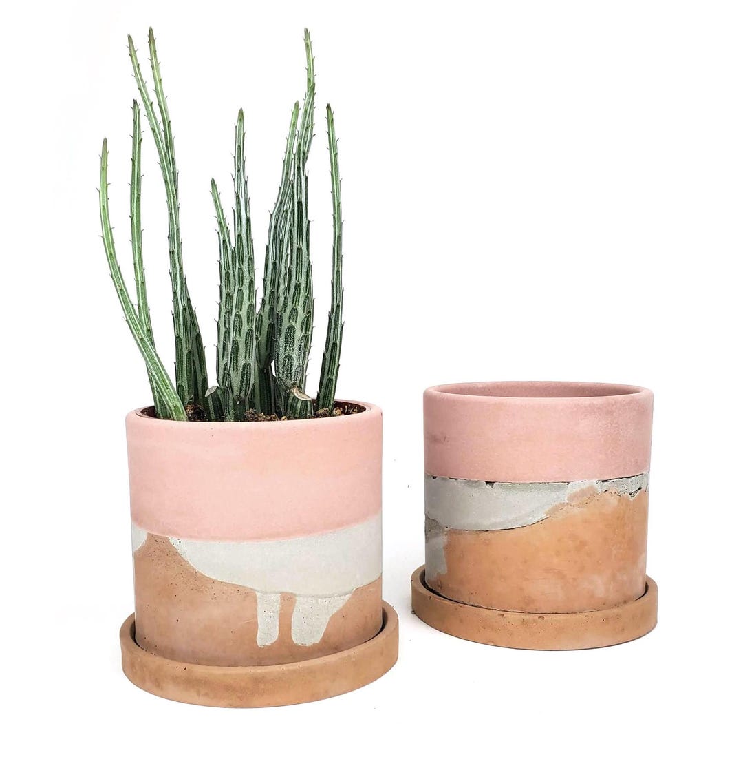 4" Cylinder Cement Plant Pot With Optional Drain Tray - Pink ...