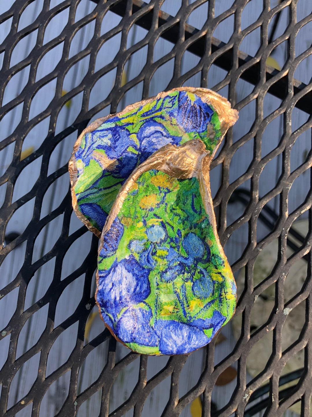 Blue Iris Oyster Shell - Etsy
