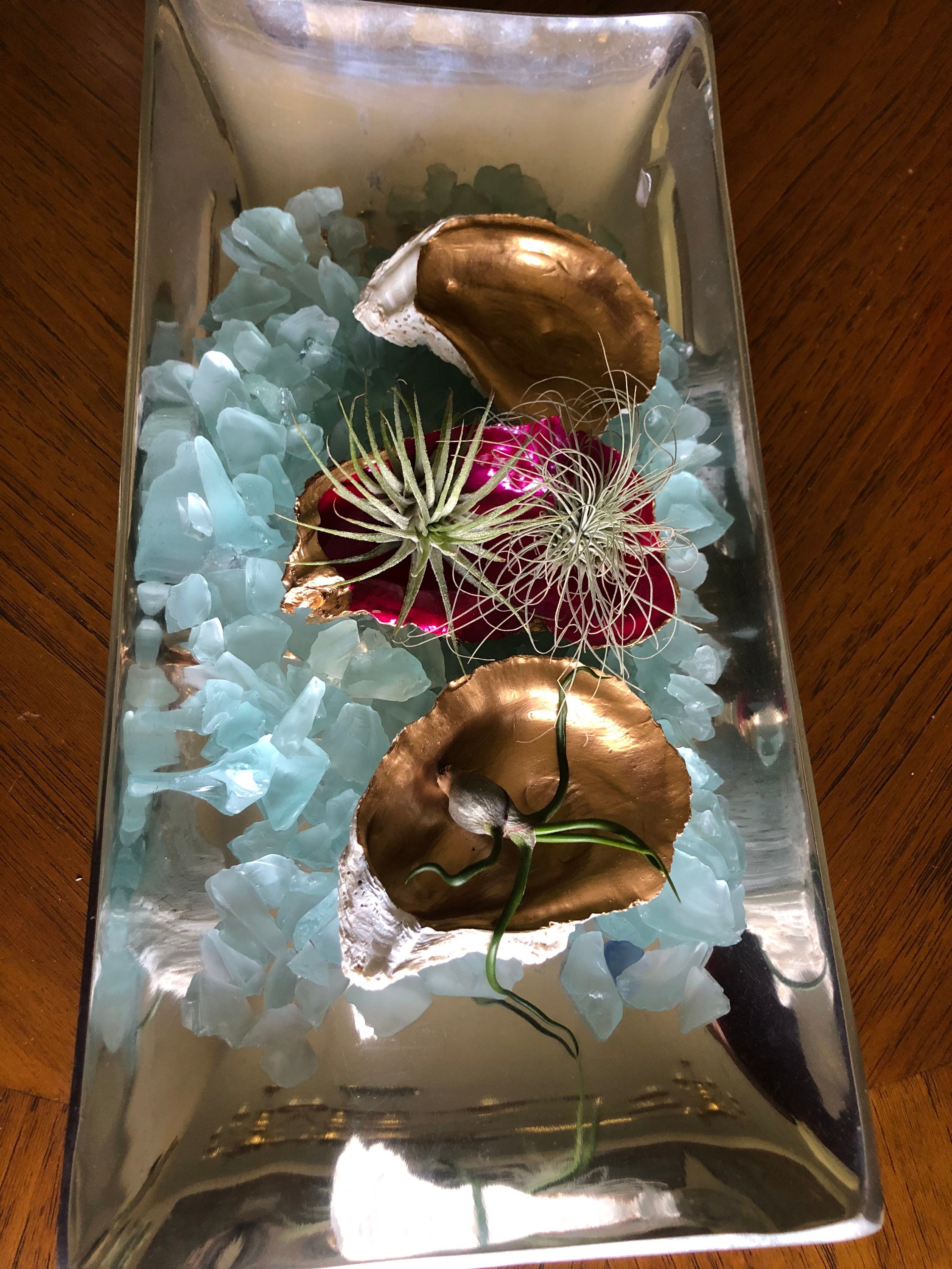 Magenta Oyster Shell, Gold Edging & Backing - Etsy