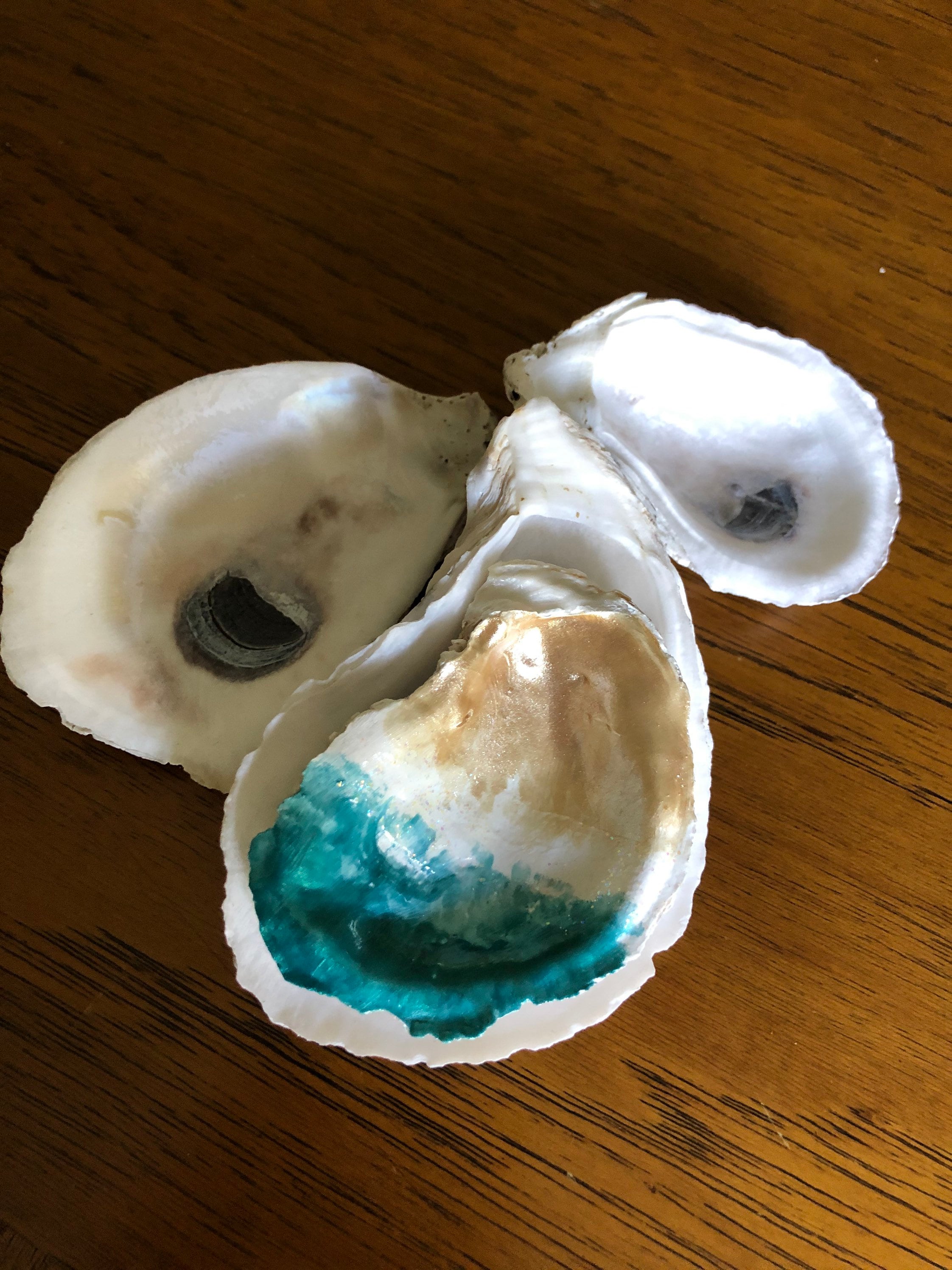 Ocean Tie-dye Oyster Shell - Etsy
