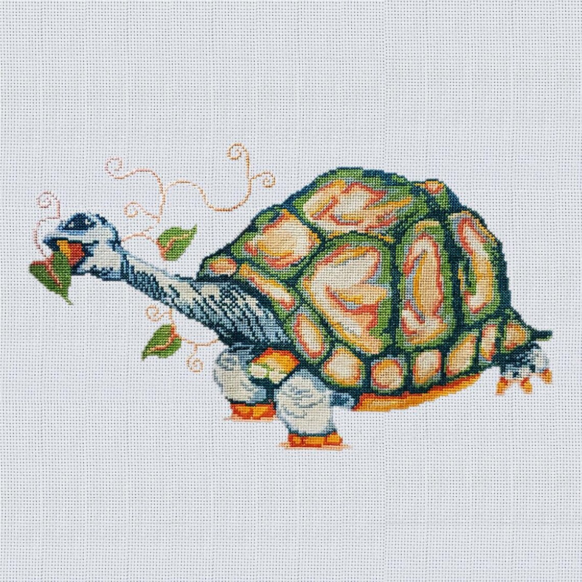Galapagos Tortoise Cross-stitch Pattern - Etsy