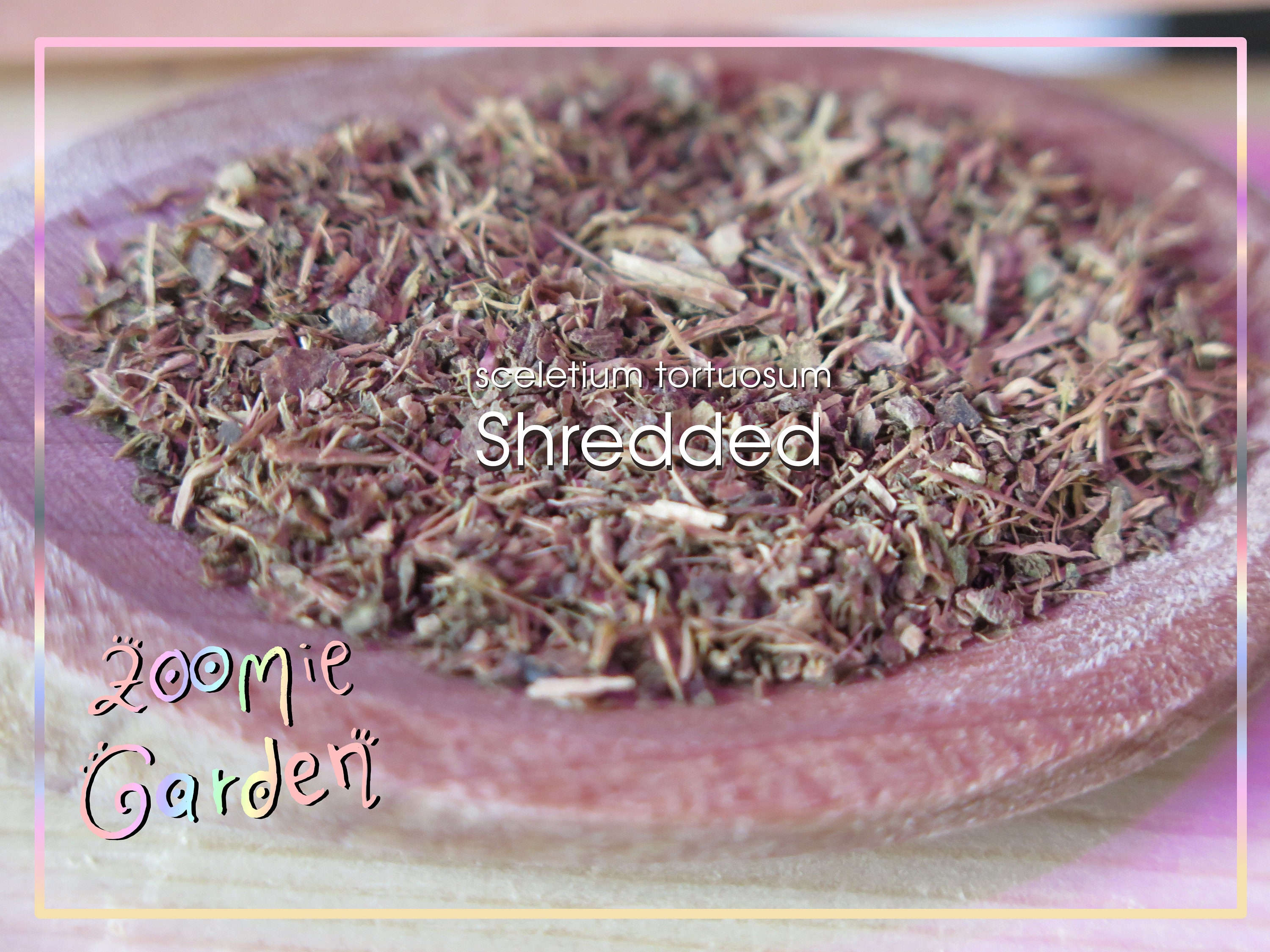 Kanna Sceletium Tortuosum 10g Shredded or Powder | Etsy