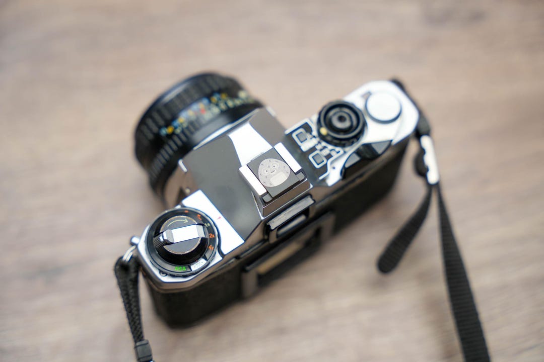 Make Your Camera Stand Out With the Japanese Onigiri Hot Shoe Cover ...