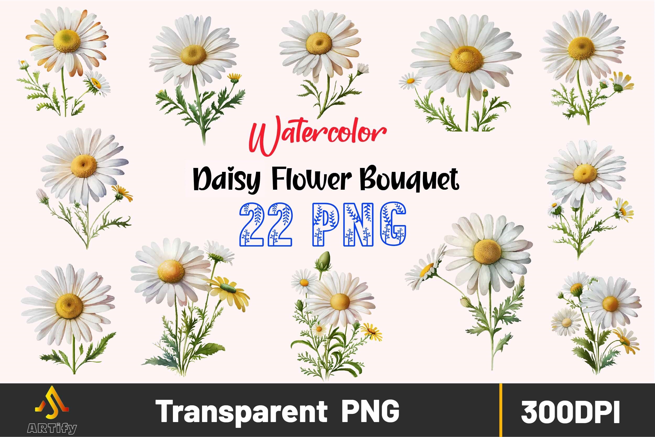 Daisy Flowers PNG, Flowers Bouquet PNG, Flower Clipart, Watercolor ...
