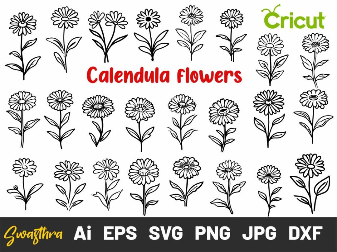 Calendula Flowers SVG, October Birth Flower SVG, Birth Month Flower ...