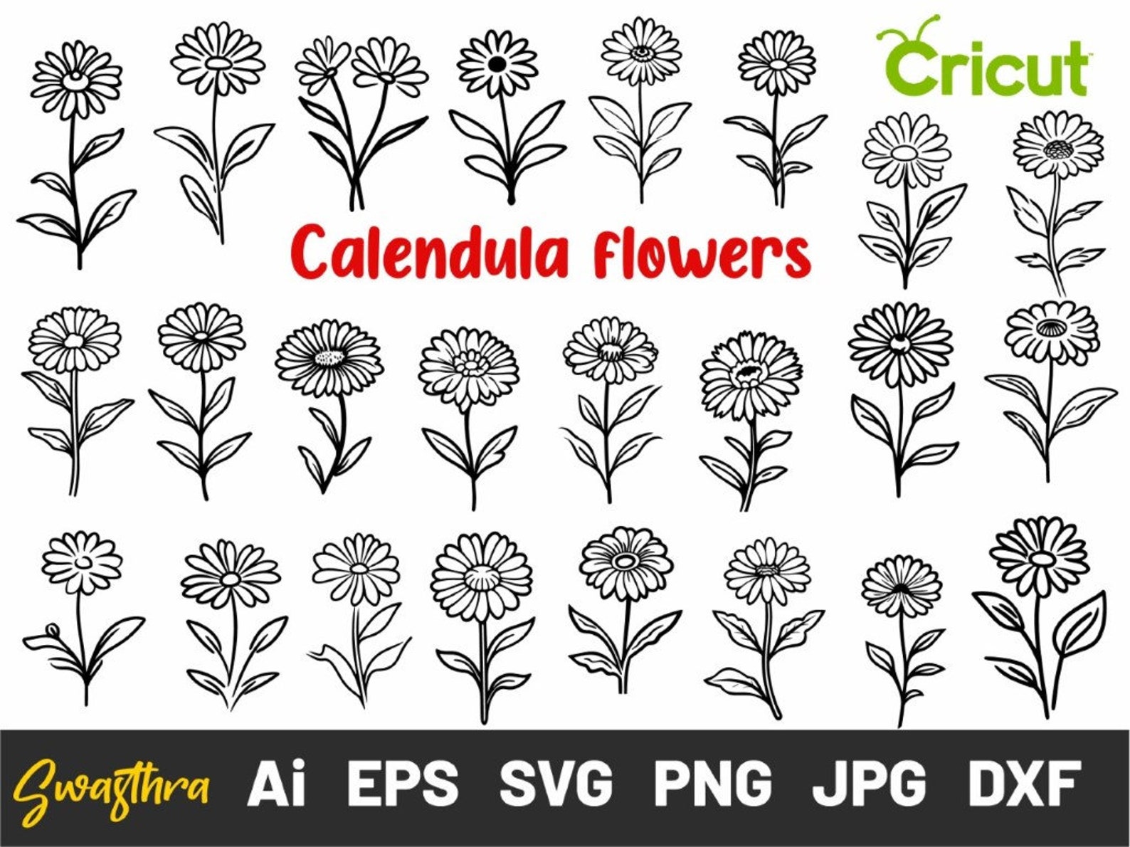 Calendula Flowers SVG October Birth Flower SVG Birth Month - Etsy