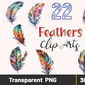 Watercolor Bright Feathers Clipart Feather Art Prints Bird - Etsy