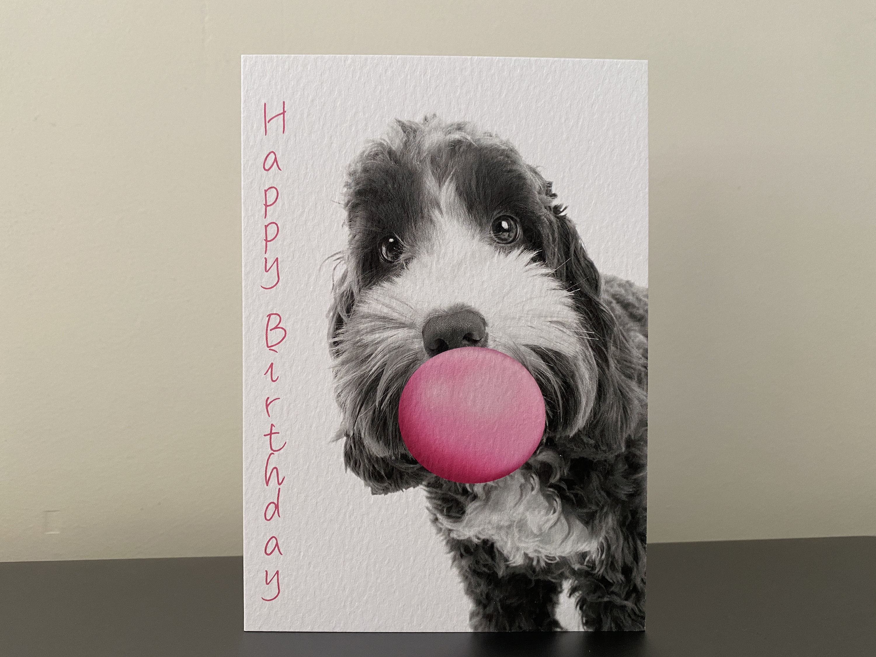 Cockapoo Happy Birthday Card Cockapoo Blank Card Dog - Etsy