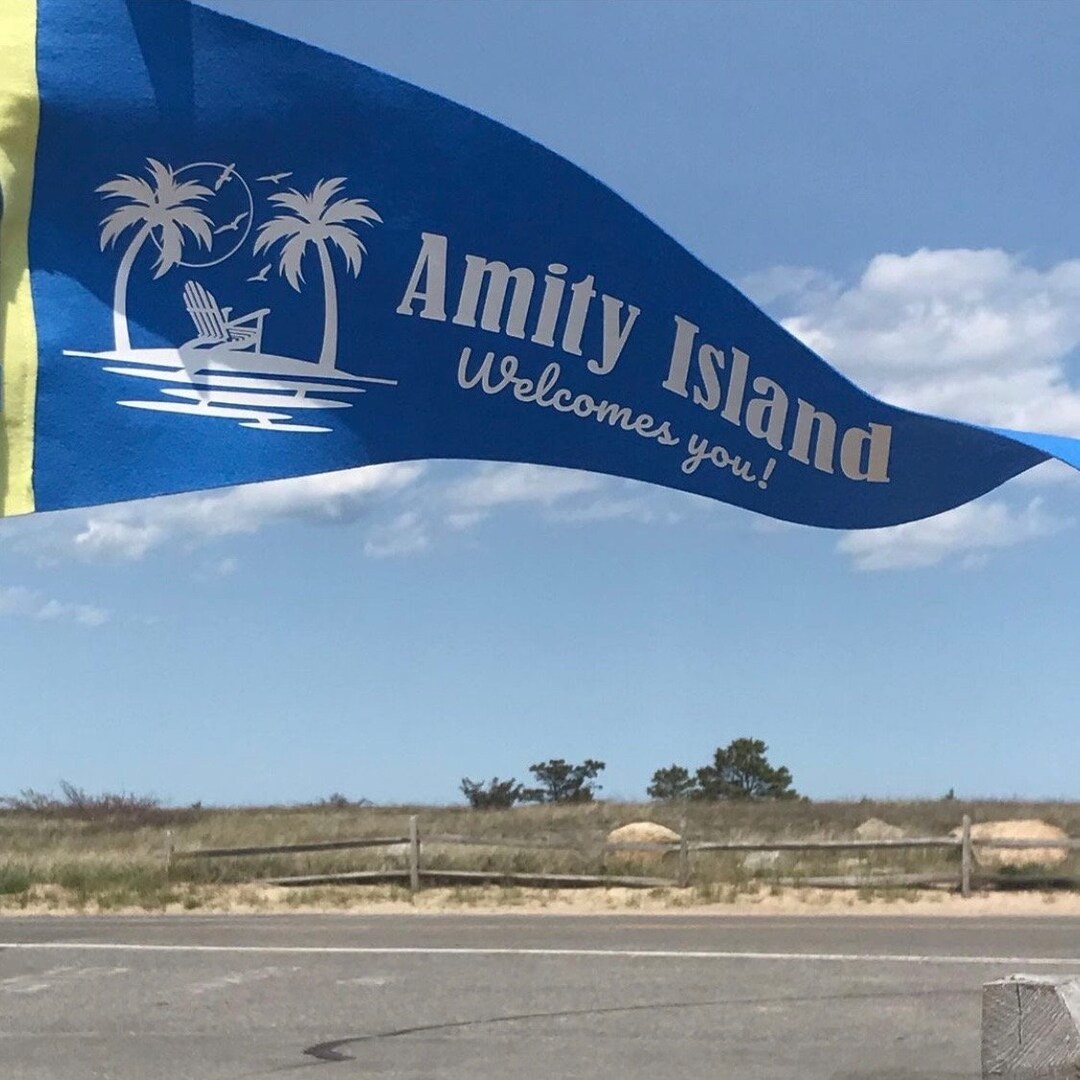 AMITY ISLAND Pennant Flag / Felt Pennant / Wall Hanging Banner ...