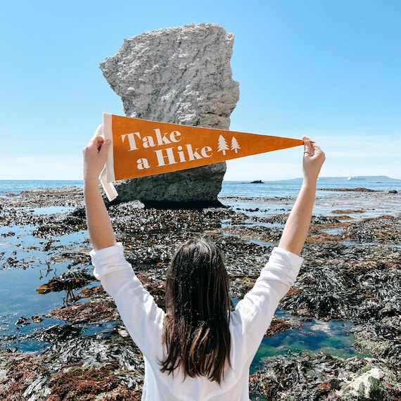 TAKE A HIKE Pennant Flag / felt pennant / gallery wall decor / | Etsy