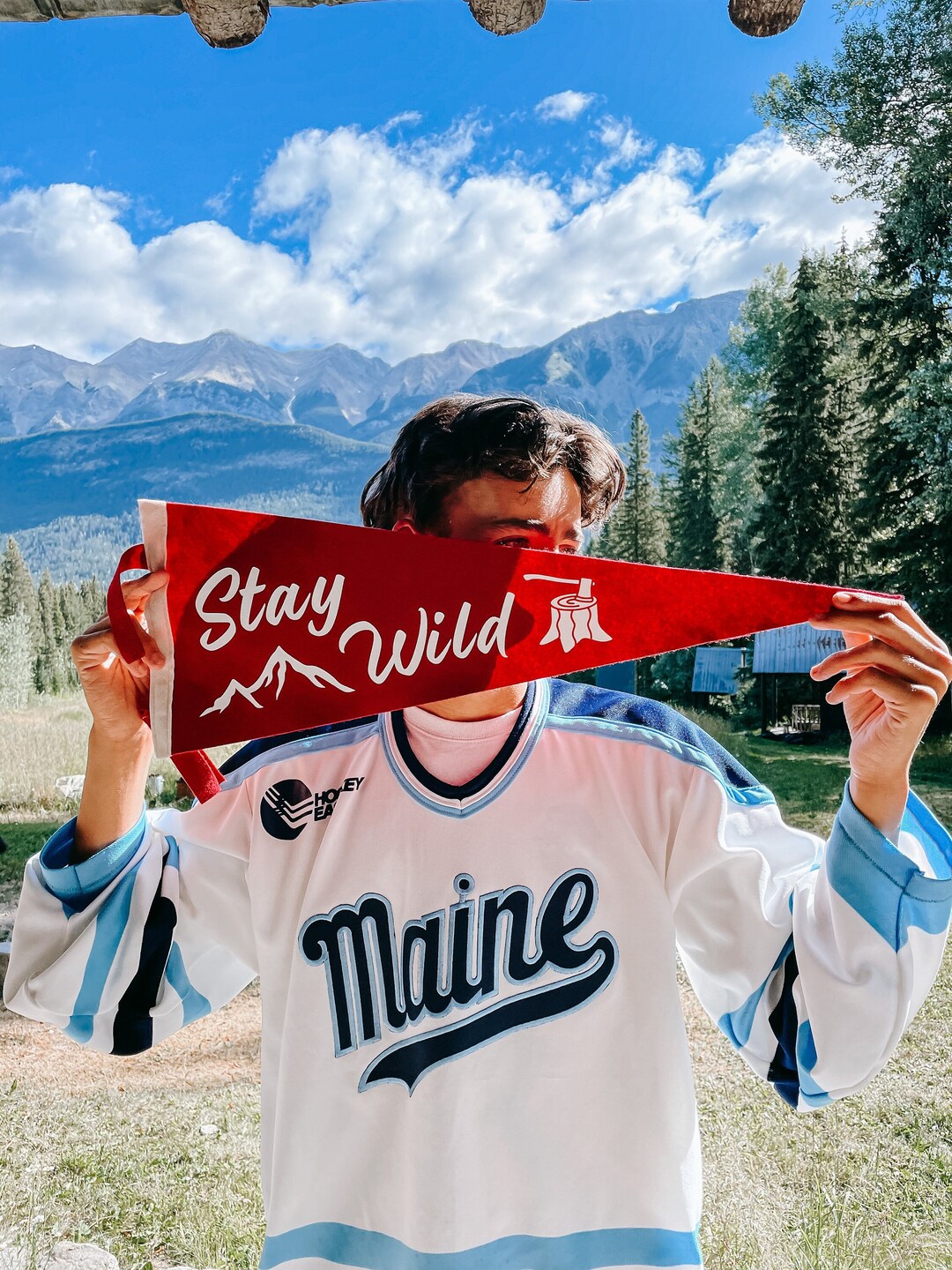 STAY WILD Pennant Flag / Felt Pennant / Wall Hanging Banner / Gallery ...