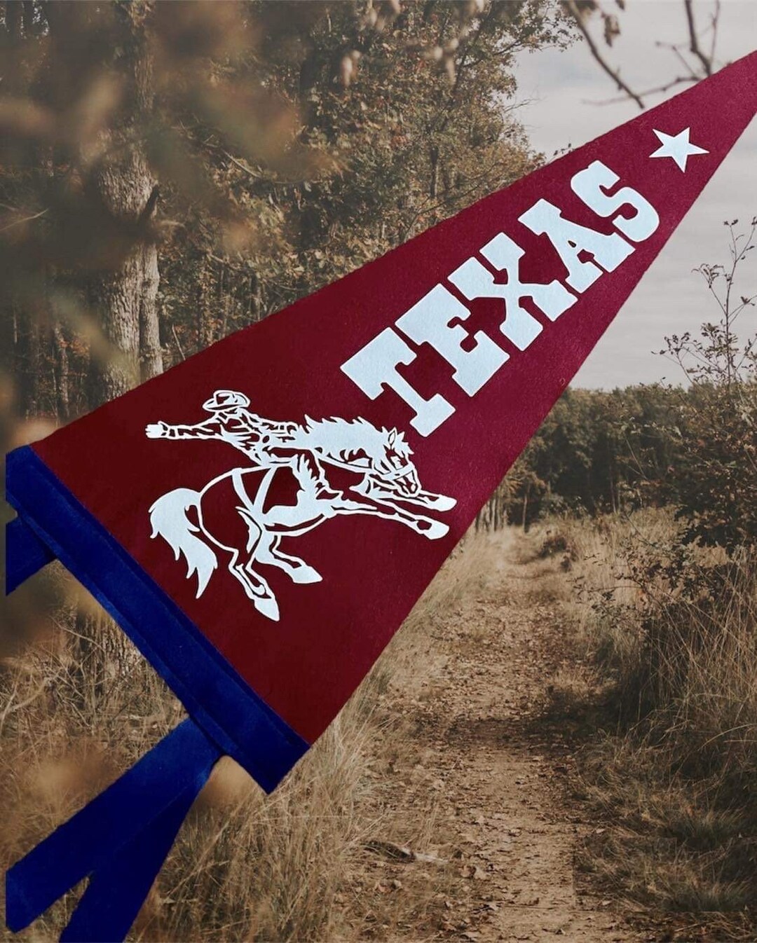 TEXAS Cowboy Pennant Flag / Felt Pennant / Country Singer / Cowboy Hat ...
