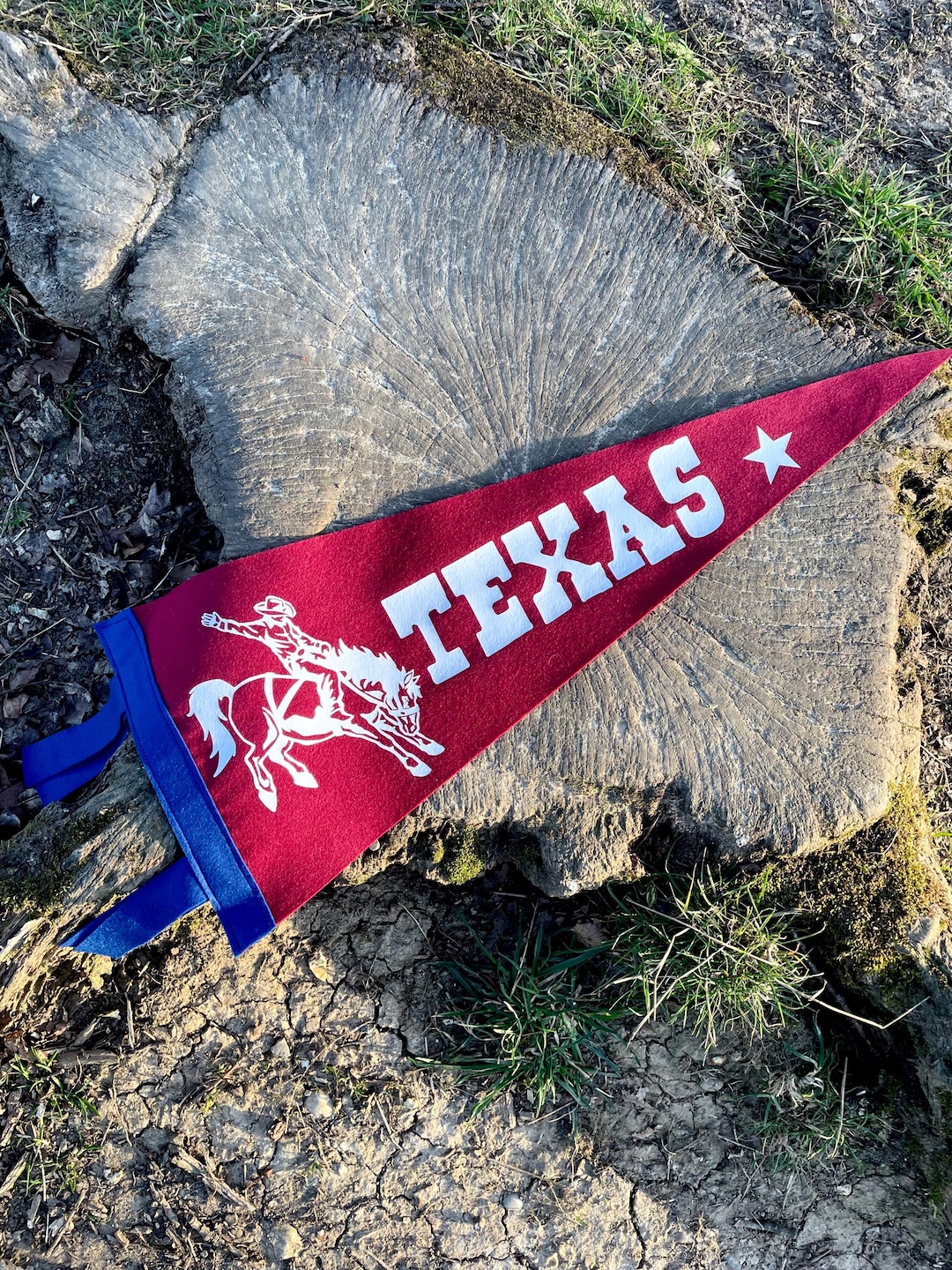 TEXAS Cowboy Pennant Flag / Felt Pennant / Country Singer / Cowboy Hat ...