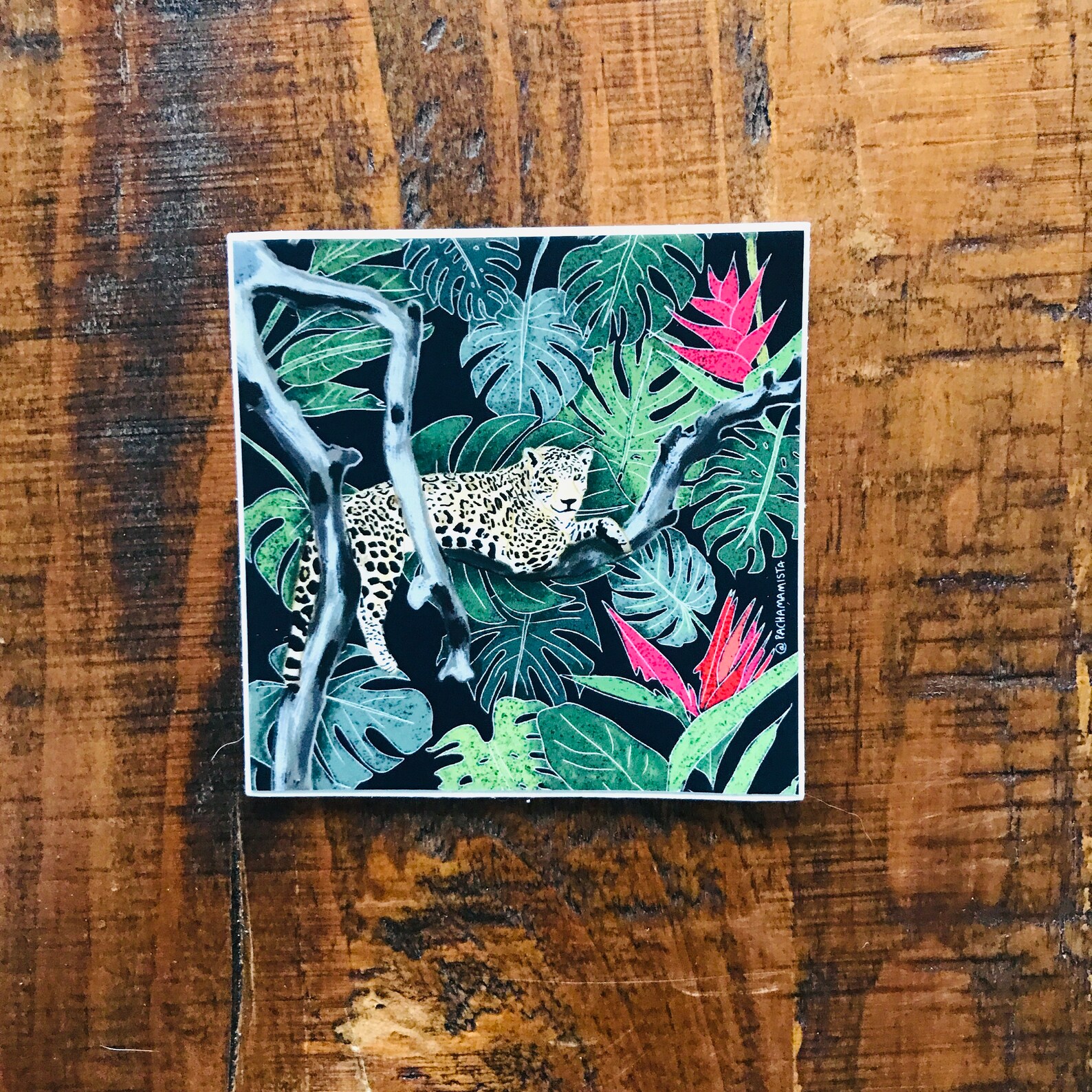 Set of 3 Stickers - Etsy
