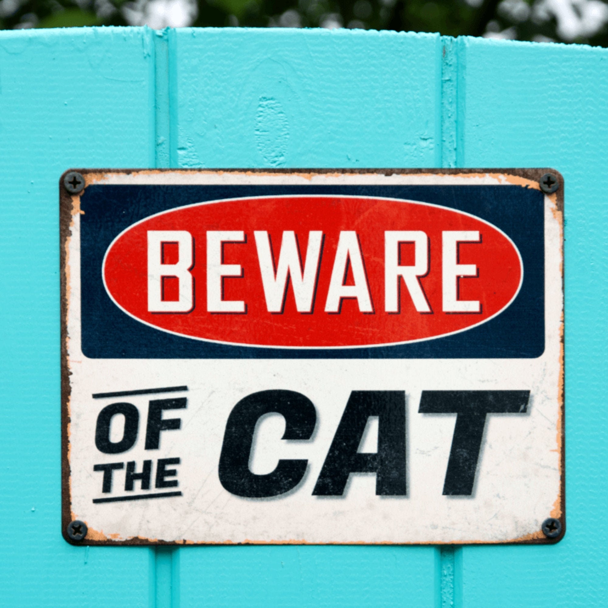 BEWARE of Cat Sign Metal Beware of Cat Gate Sign Distressed - Etsy