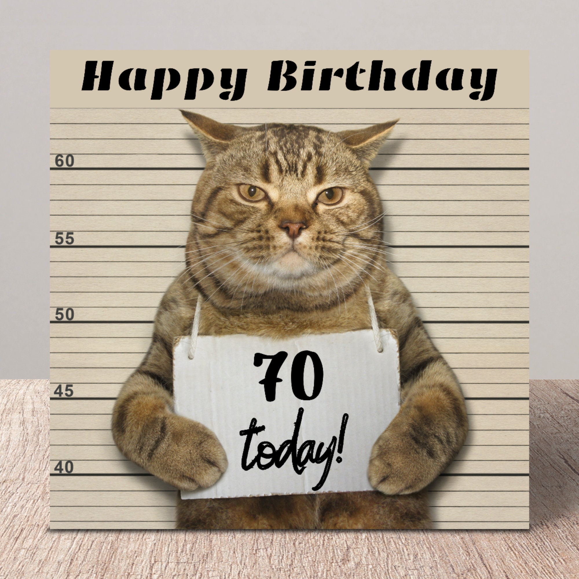 70th Birthday Card Funny Cat 70 Birthday Card Milestone - Etsy UK