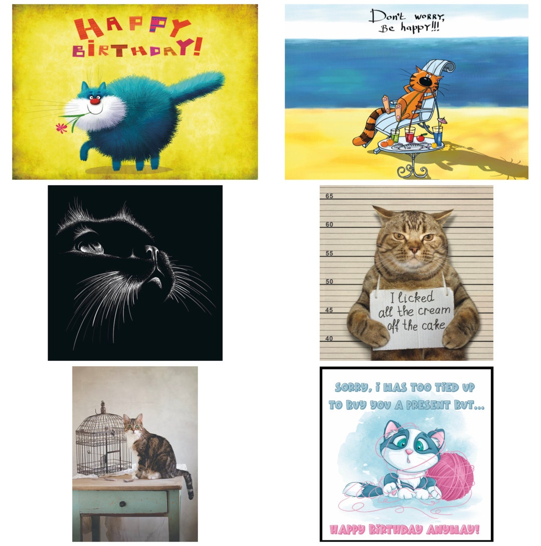 6 Pack of Funny Whimsical Humorous Cat Lover Art Cards Artist Card ...