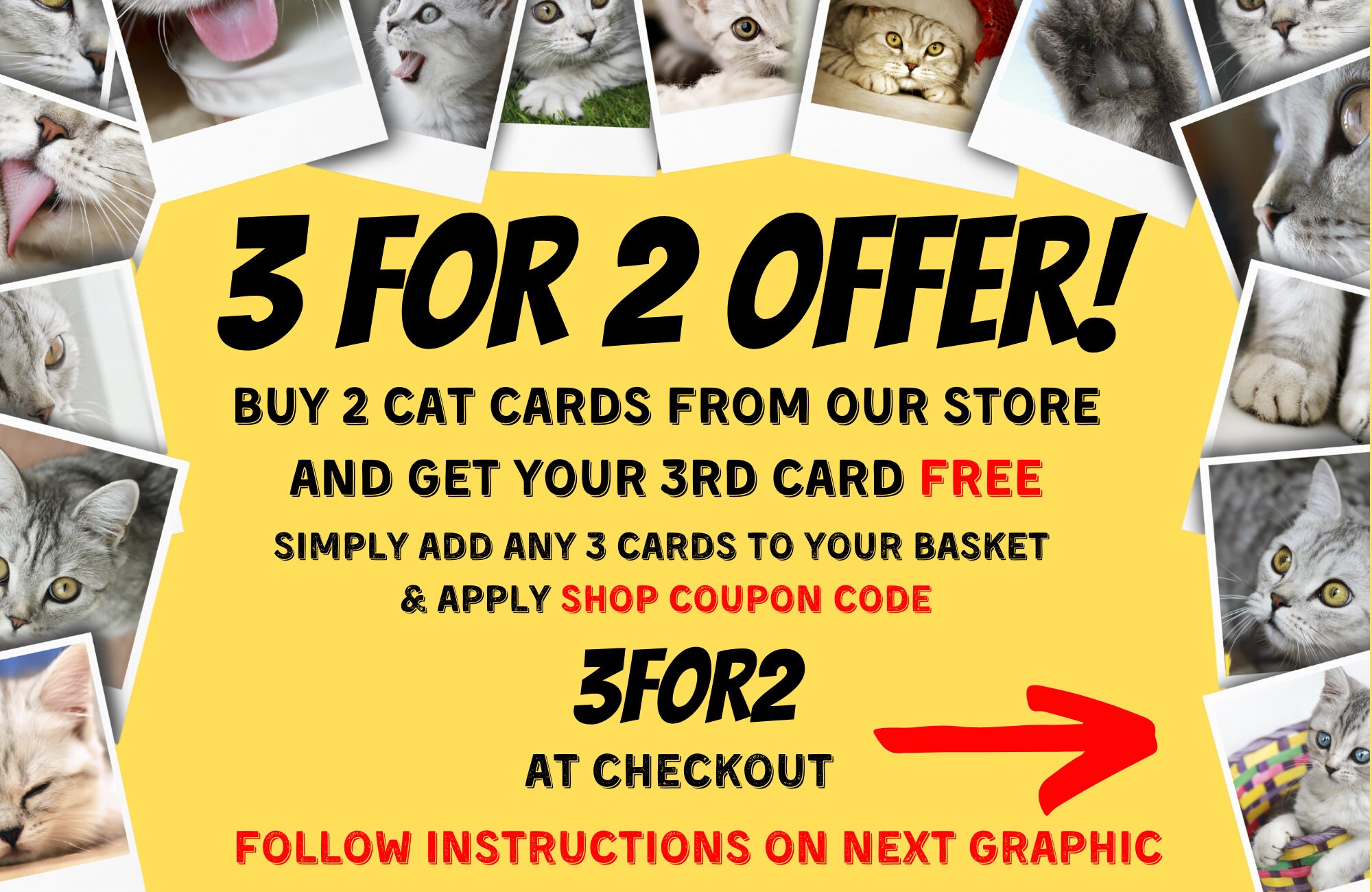 Cat Queen Card Freddie Mercury Cat Card Cartoon Illustration - Etsy UK