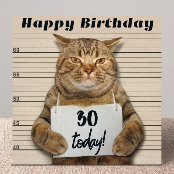 Happy 30th Birthday Cat Meme
