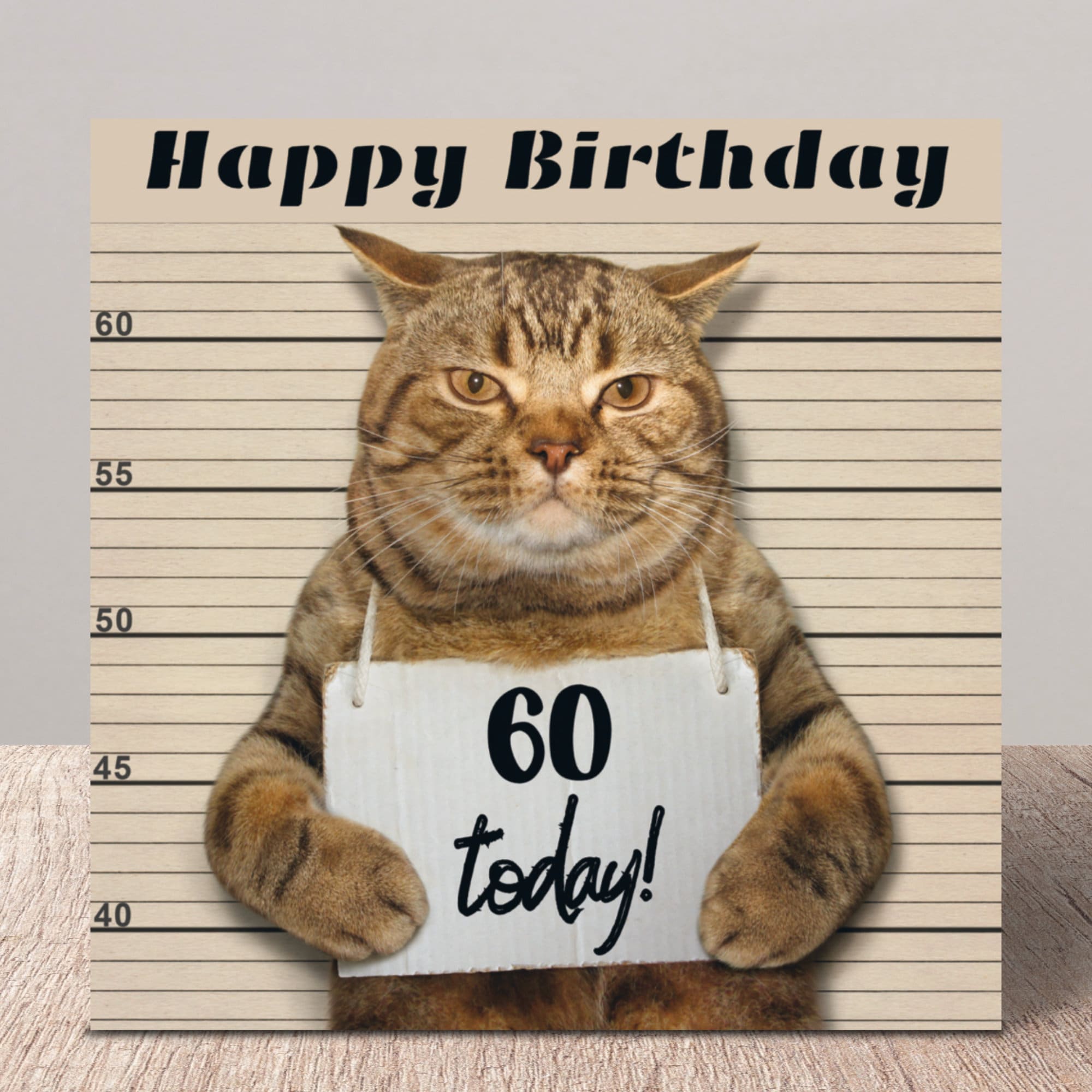 60th Birthday Card Funny Cat 60 Birthday Card Funny Cat - Etsy UK