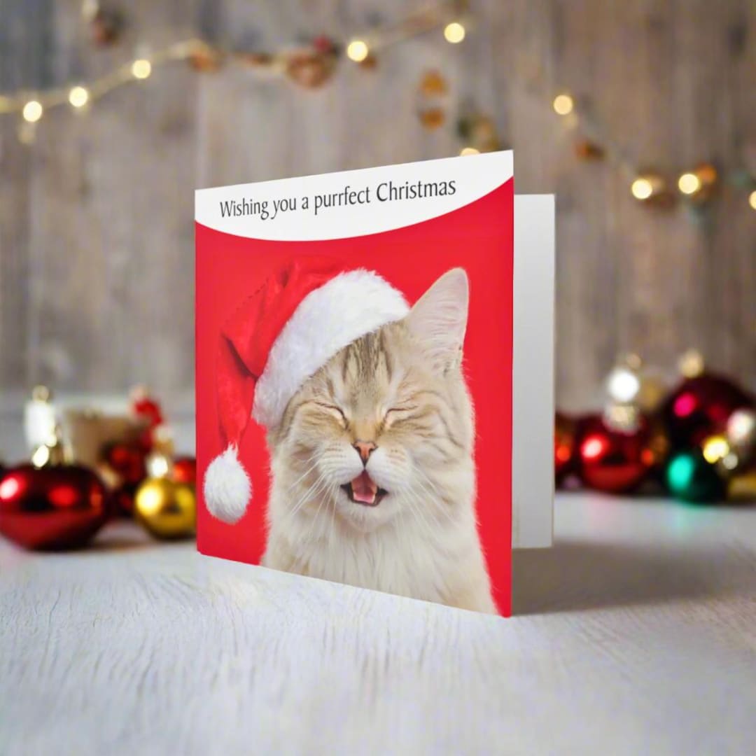 Funny Cat Christmas Card, Funny Cat Greeting Card, Humorous Cat Card ...