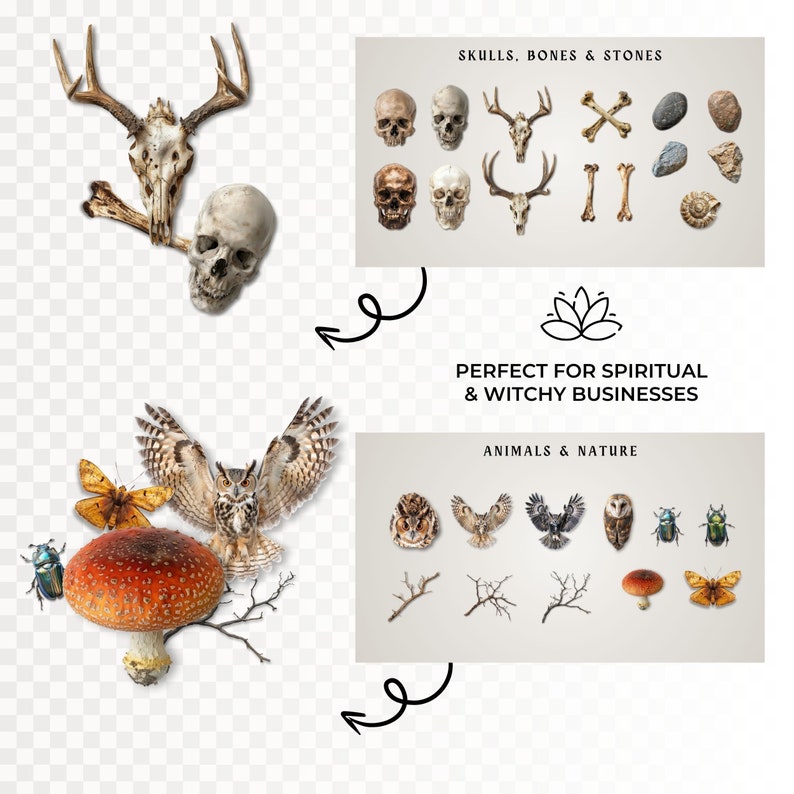 Witchcraft Scene Creator Elements, Realistic Flatlay Graphics for ...