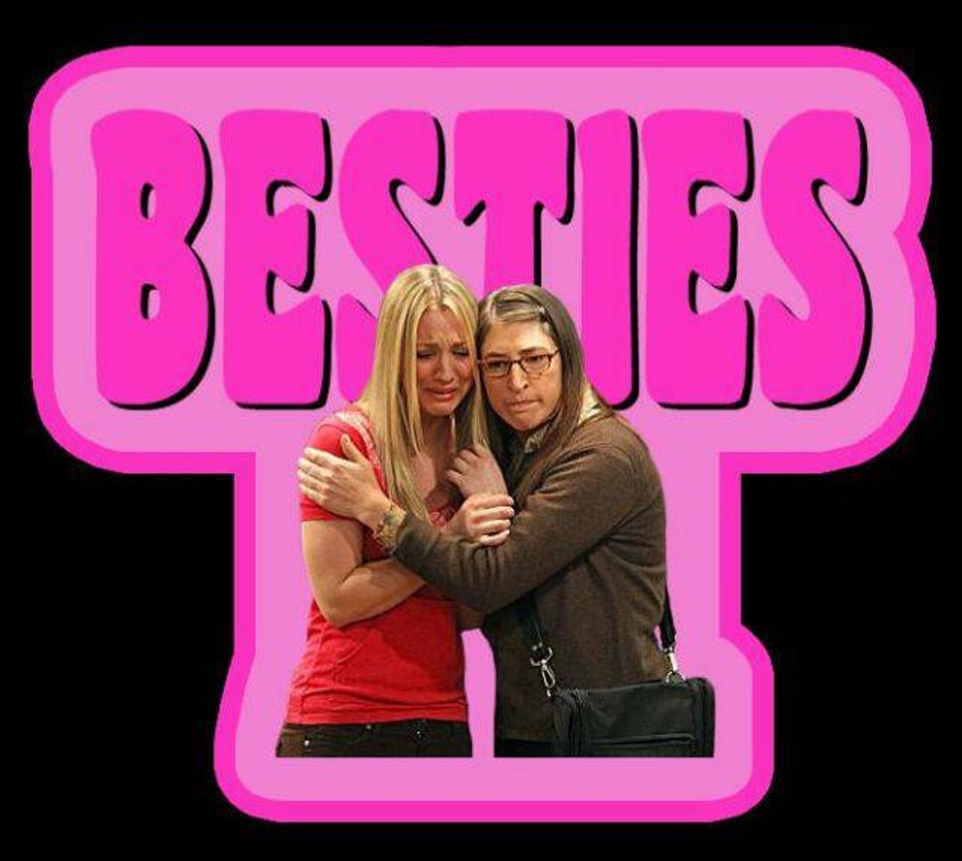 The Big Bang Theory Penny and Amy Besties Retro Style T-shirt Small to ...
