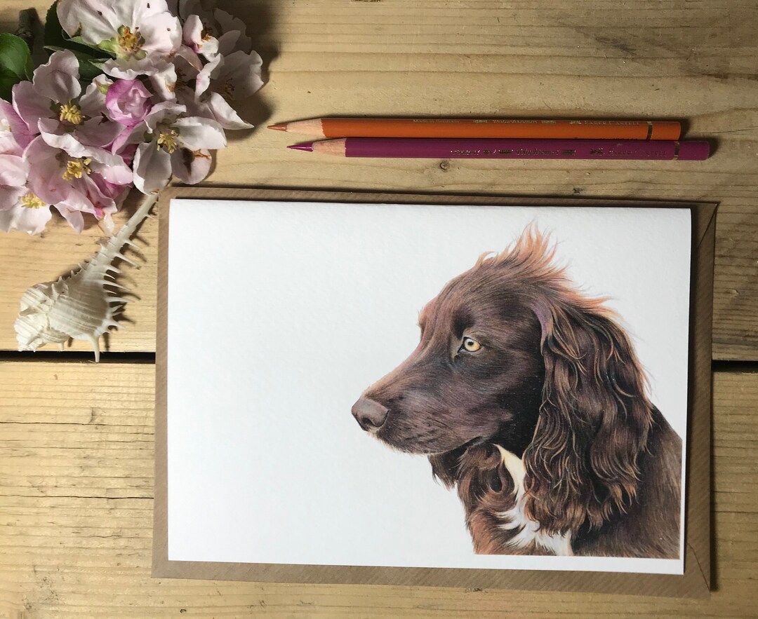 A5 Chocolate Cocker Greetings Card *BLANK INSIDE* - Etsy