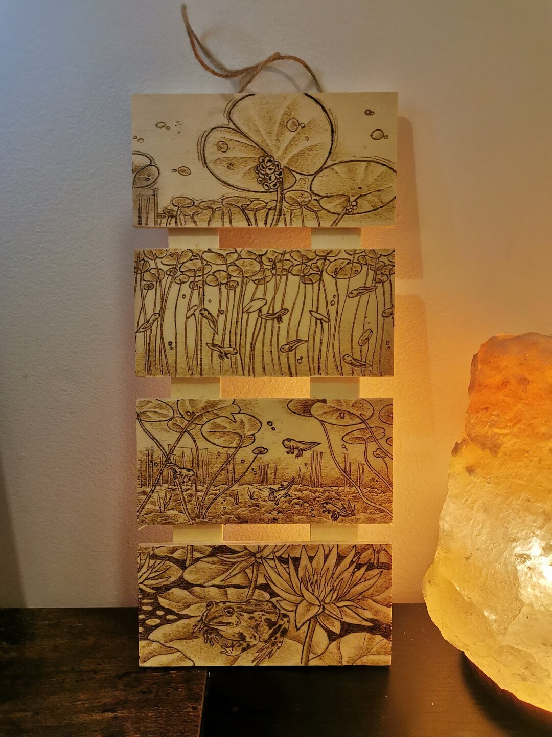Pyrography Board life Cycle of the Frog - Etsy