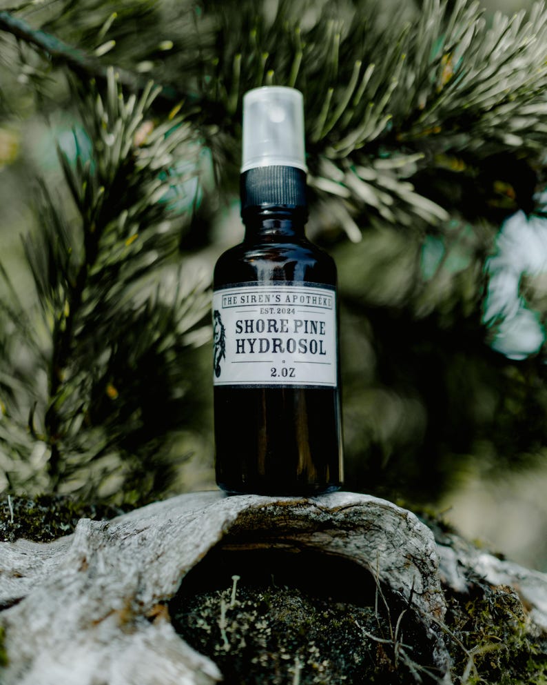 Shore Pine Hydrosol, Wildcrafted Traditionally Distilled Organic ...