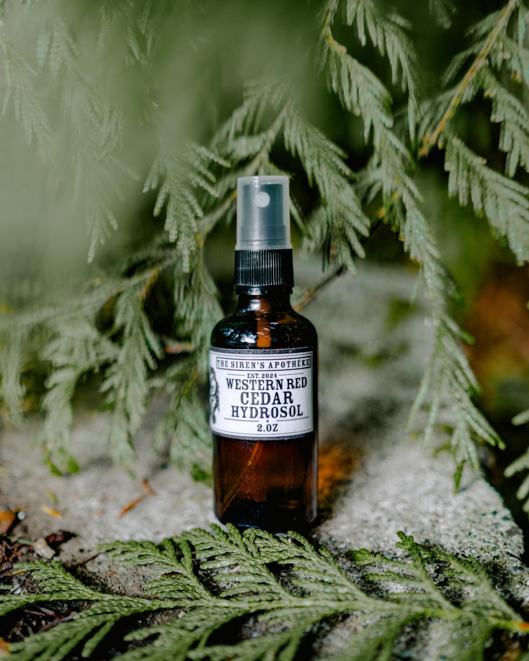 Western Red Cedar Hydrosol: Aromatherapy Facial Toner & Linen Spray (2 ...
