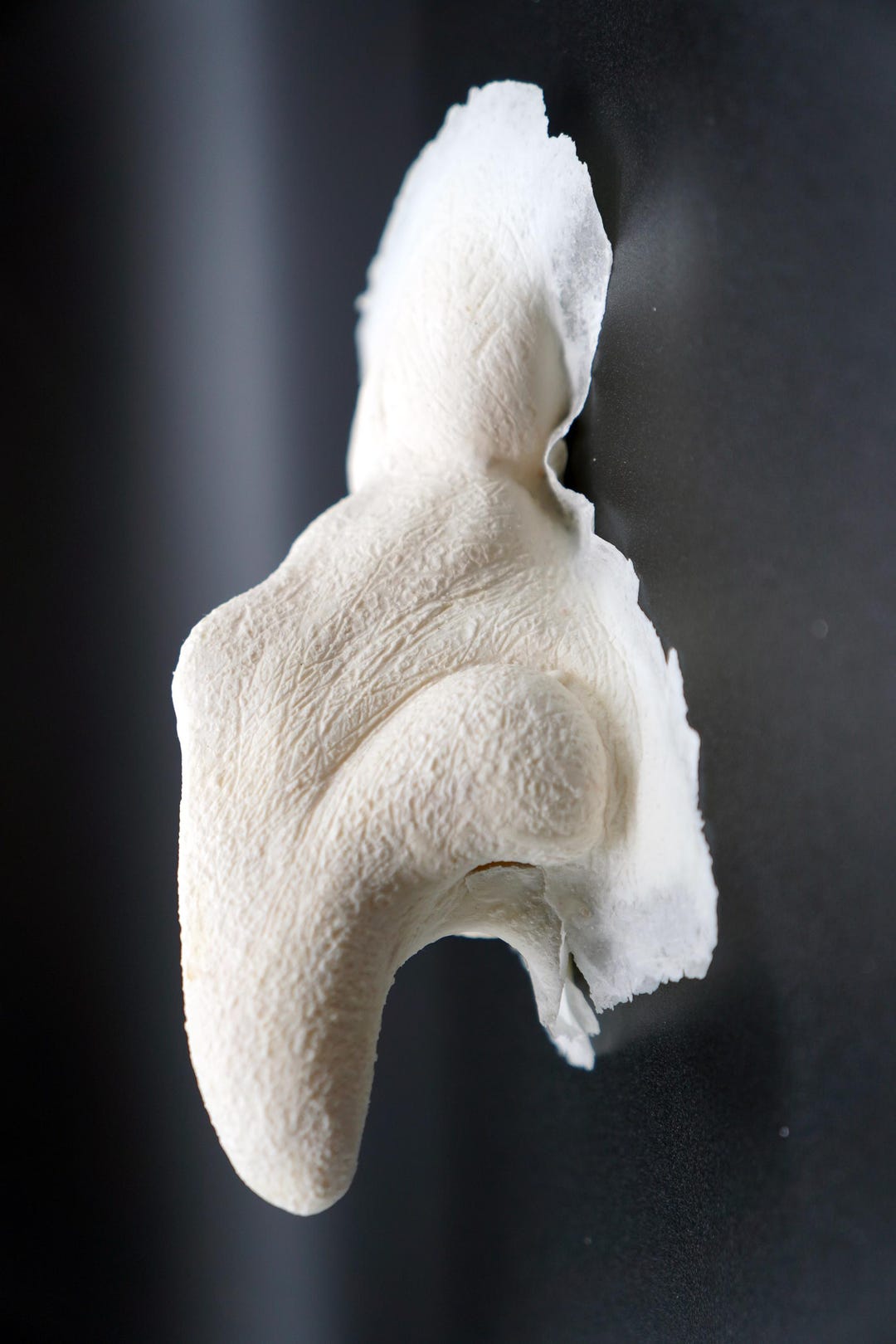 Fake Hooked Witch Nose With Bump Latex Foam Halloween - Etsy