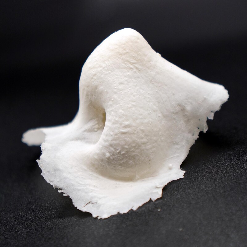 Latex Nose - Etsy
