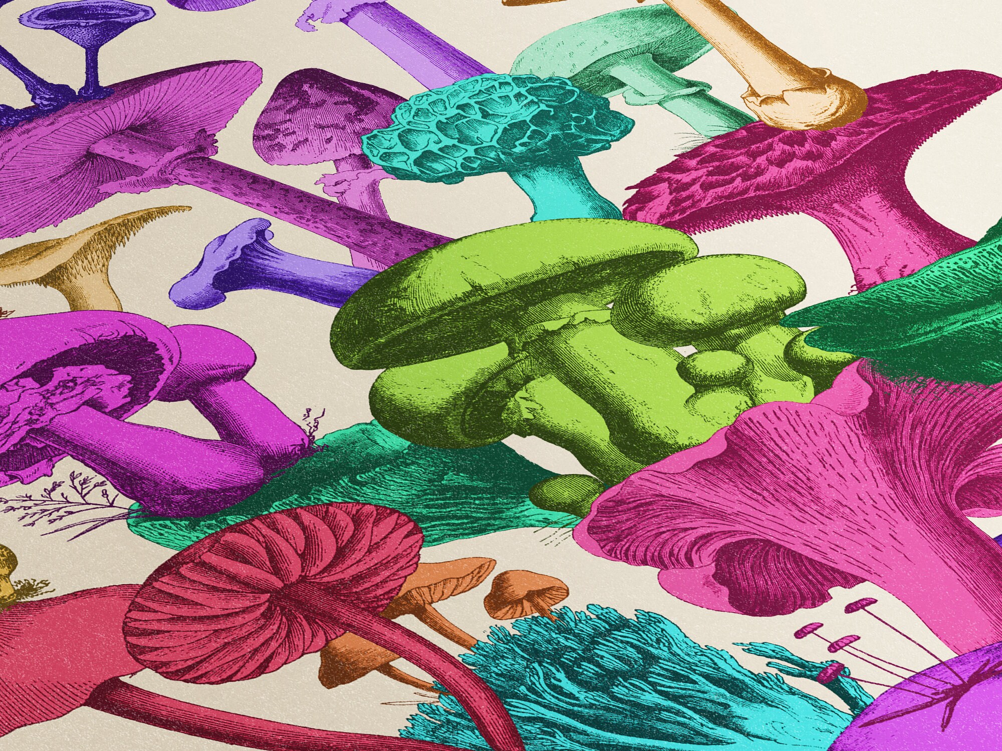Magic Mushroom Fantasy Collage Vintage Wall Art Print - Etsy UK
