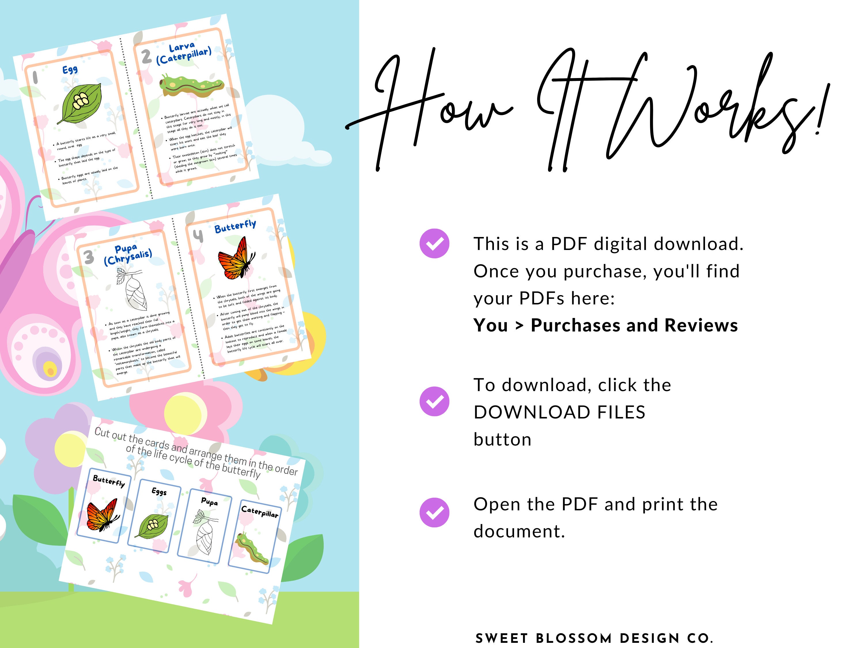 Butterfly Life Cycle Activity Pack, Preschool Printable, Nature Study ...