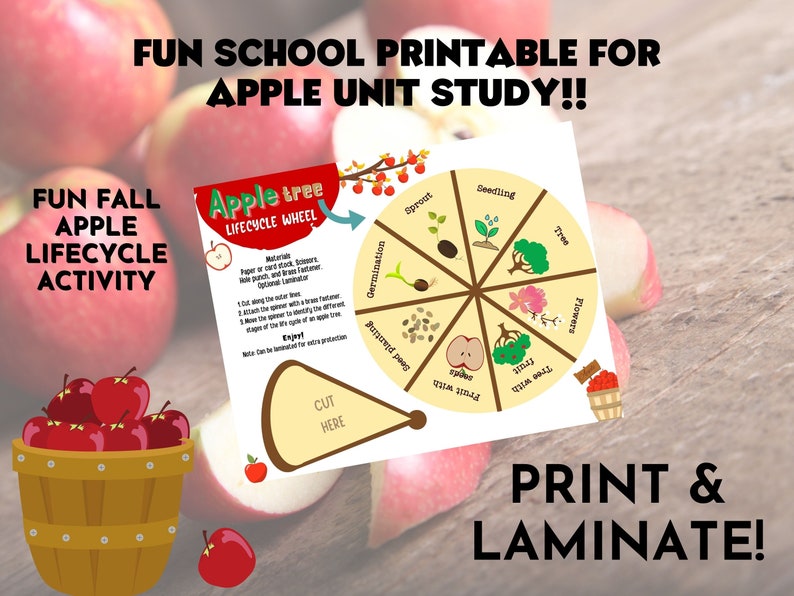 Apple Tree Lifecycle Lesson, Apple Life Cycle Wheel, Apple Unit Lesson ...