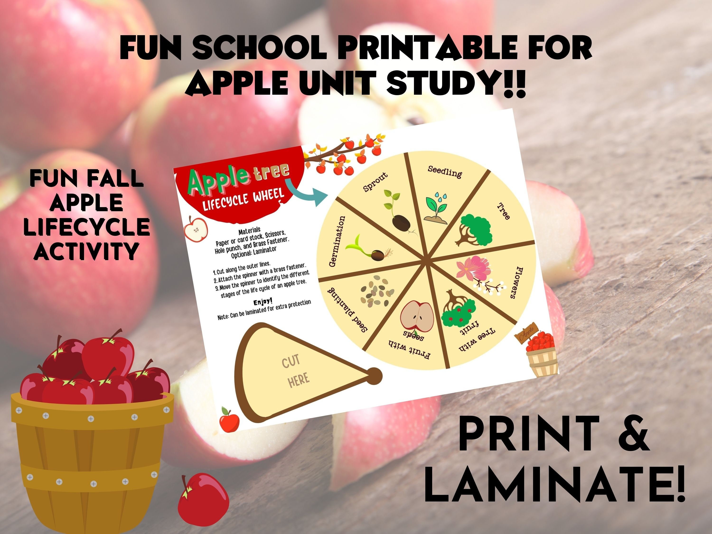 Apple Tree Lifecycle Lesson, Apple Life Cycle Wheel, Apple Unit Lesson ...