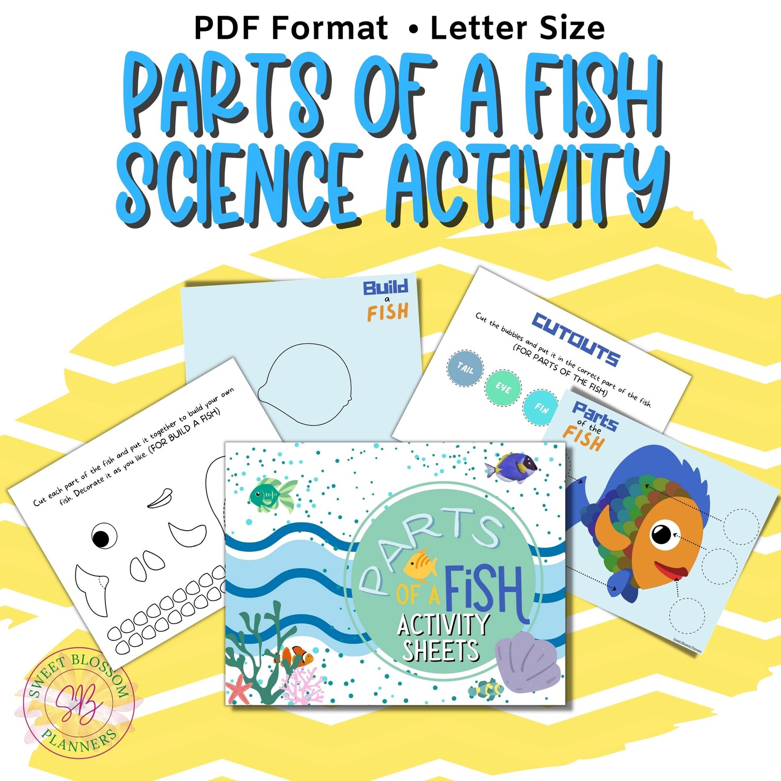 Fish Activity Pages, Ocean Animal Activity Sheets, Fish Science Sheet ...