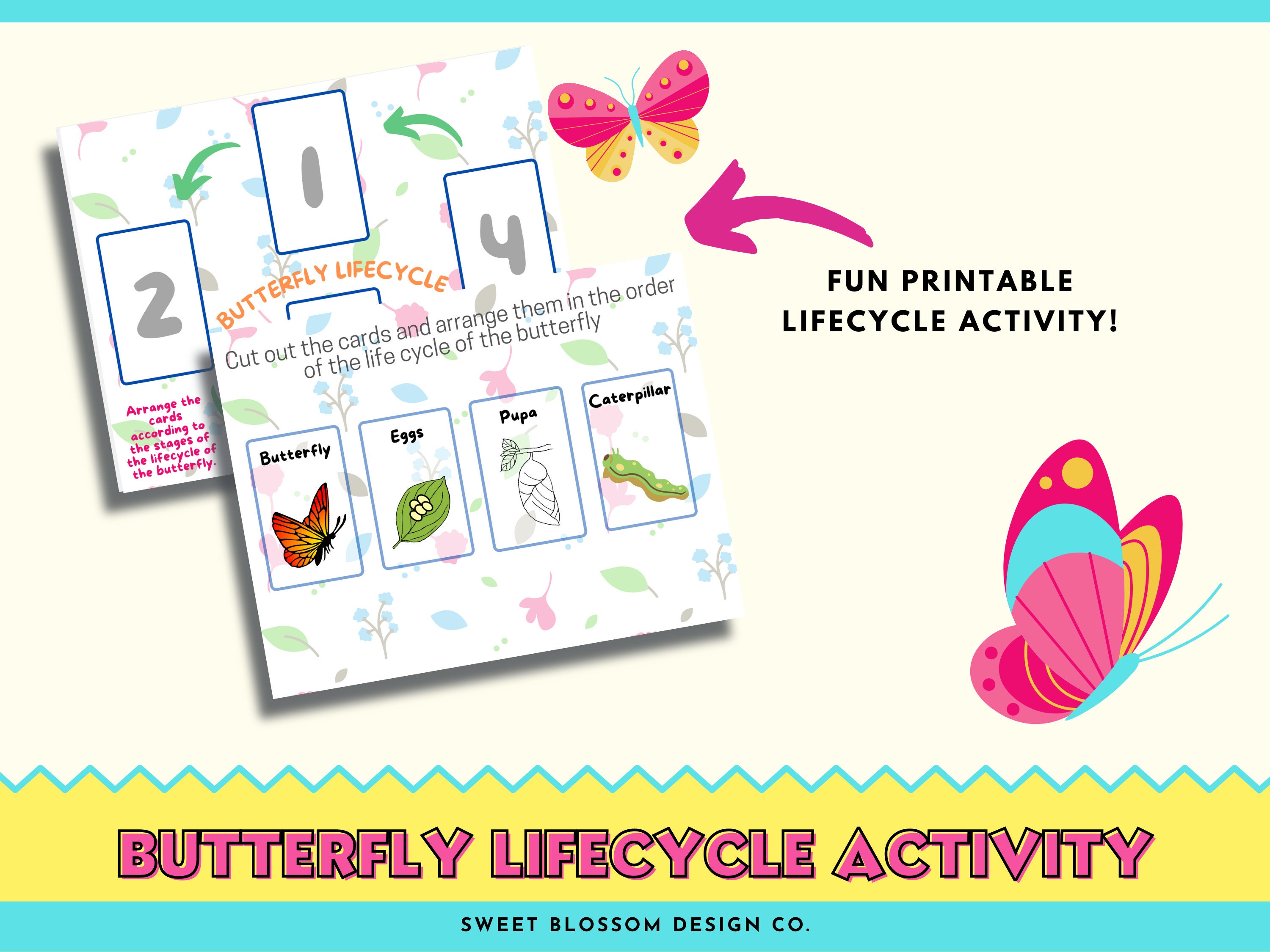 Butterfly Life Cycle Activity Pack, Preschool Printable, Nature Study ...