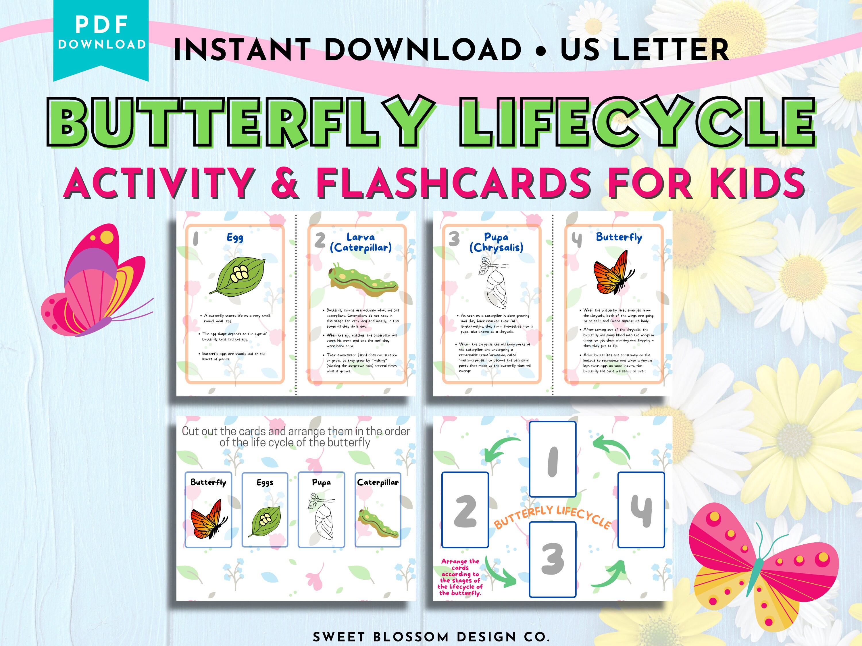 Butterfly Life Cycle Activity Pack, Preschool Printable, Nature Study ...