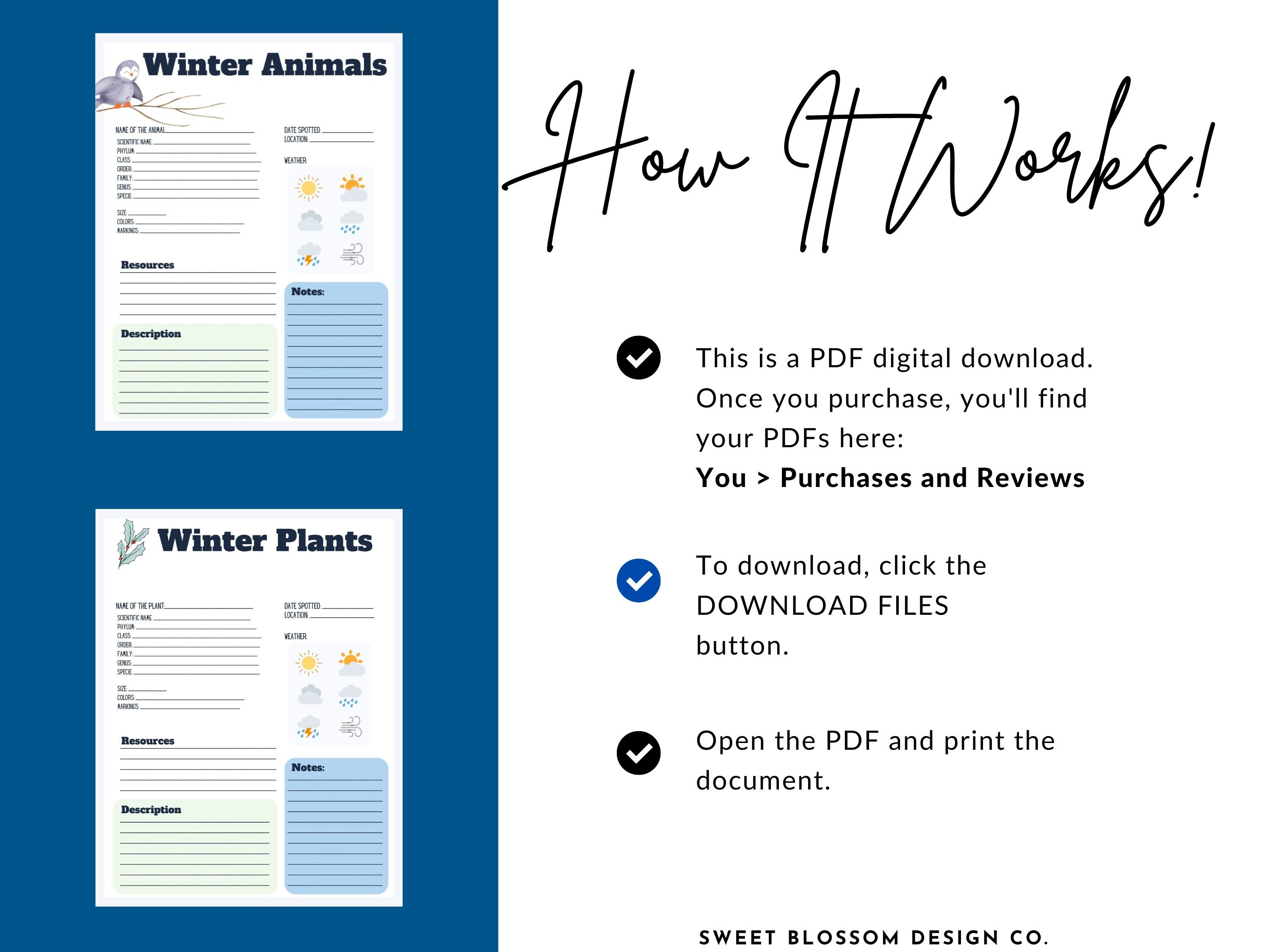 Winter Nature Study, Winter Journal, Nature Unit Study, Winter ...