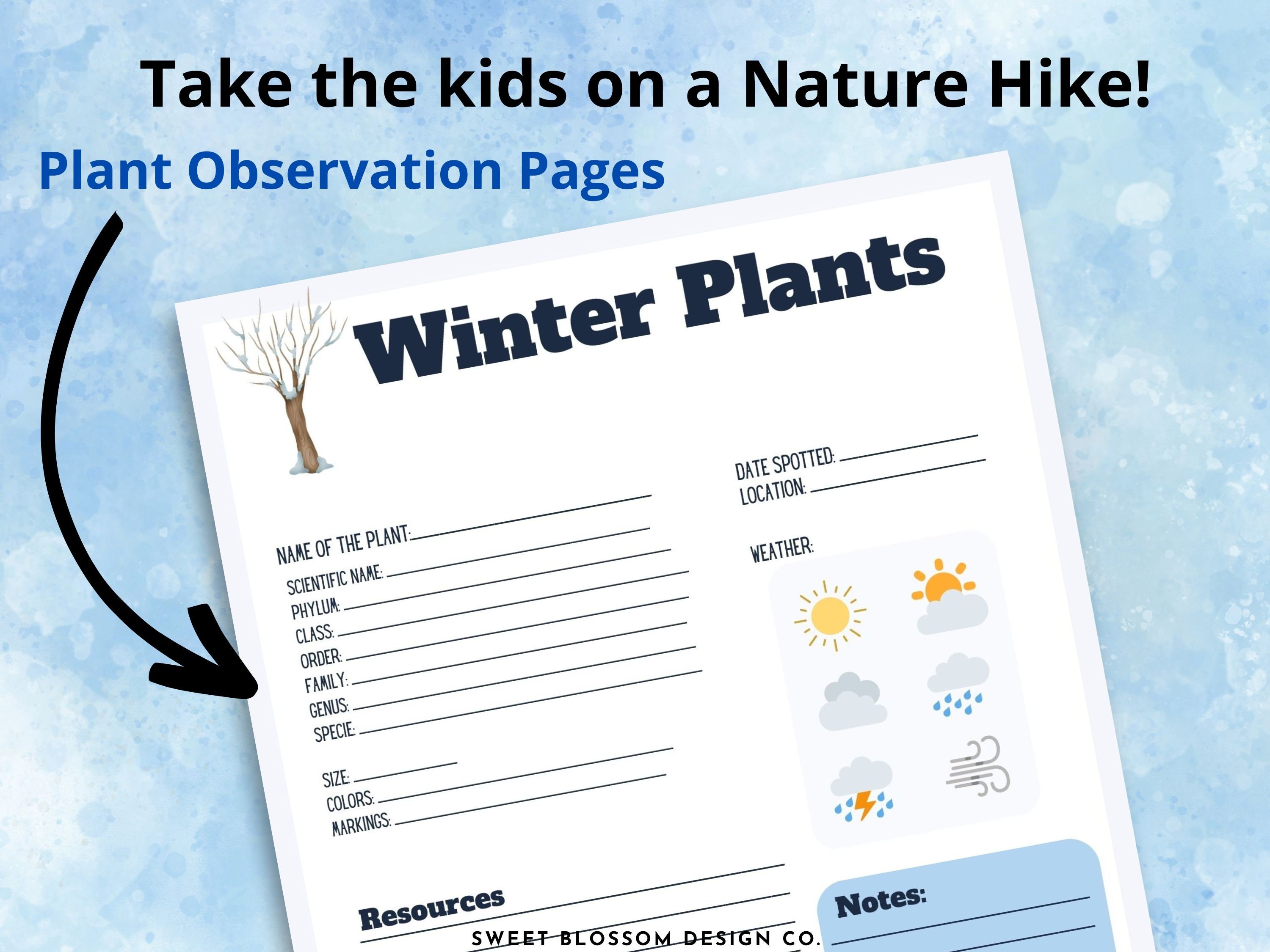 Winter Nature Study, Winter Journal, Nature Unit Study, Winter ...
