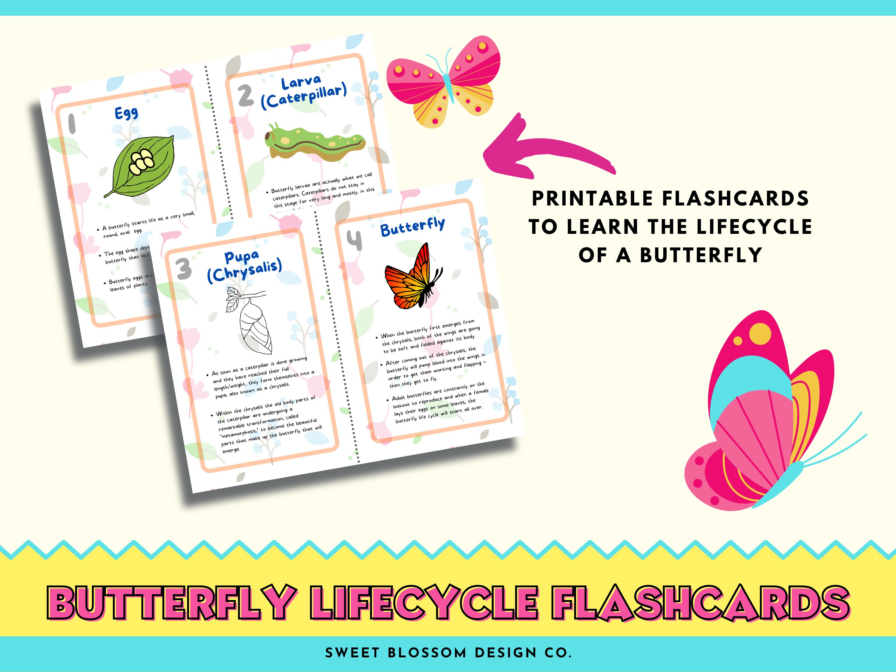 Butterfly Life Cycle Activity Pack, Preschool Printable, Nature Study ...
