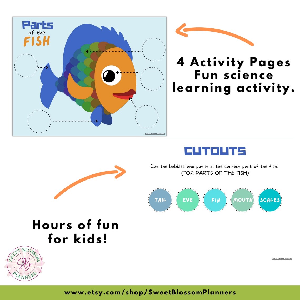 Fish Activity Pages, Ocean Animal Activity Sheets, Fish Science Sheet ...