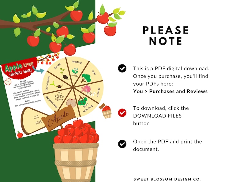 Apple Tree Lifecycle Lesson, Apple Life Cycle Wheel, Apple Unit Lesson ...