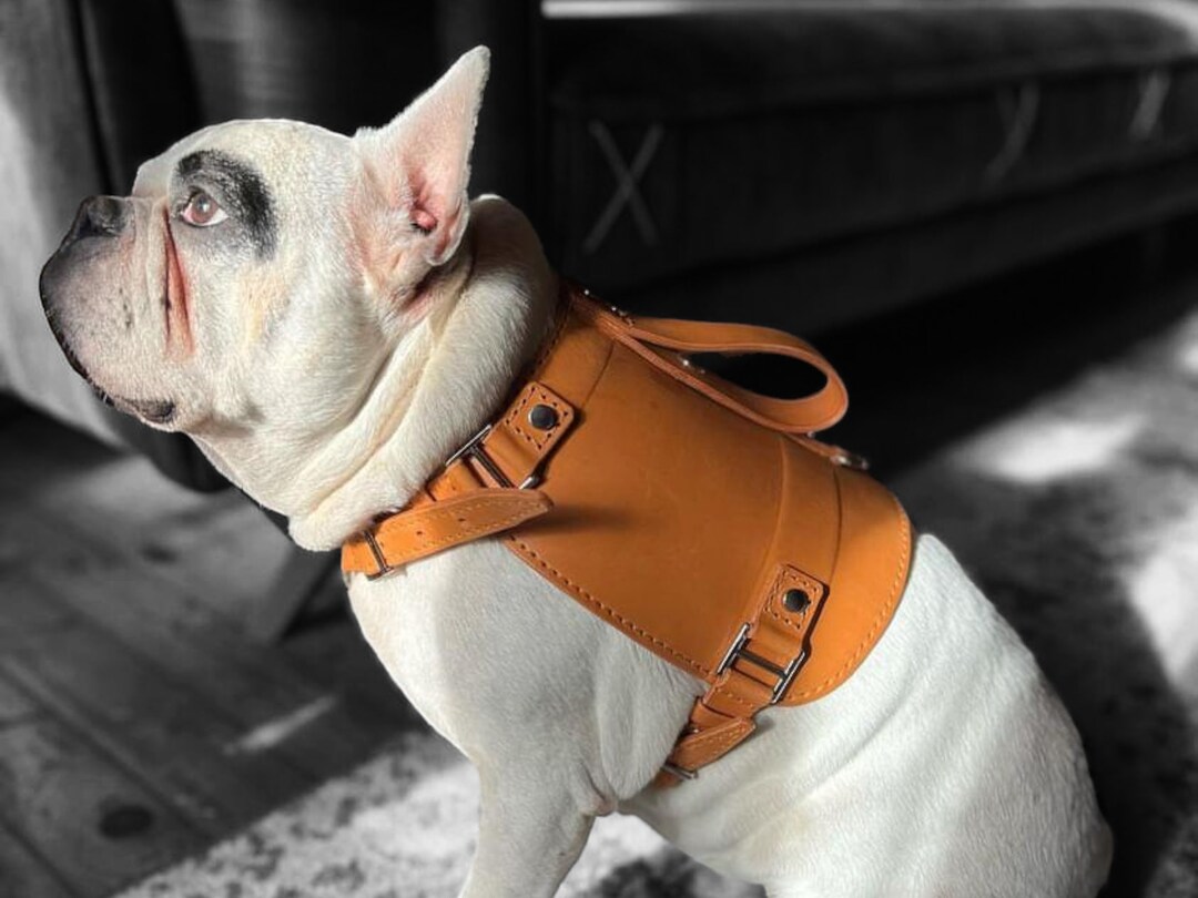 Handmade Real Leather Dog Chest Harness and Walking Leash Set - Natural ...