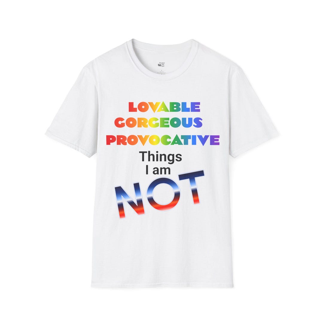 Lovable Gorgeous Provocative Things I Am NOT Ironic Funny Quote Unisex ...