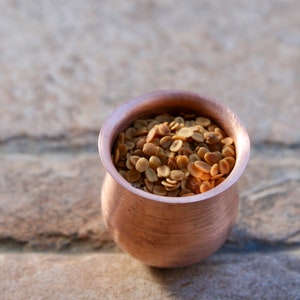 Dhanadal 200g/7 Oz - Premchand GOLD (pack of 1) by Bhagat Dhanadal ...