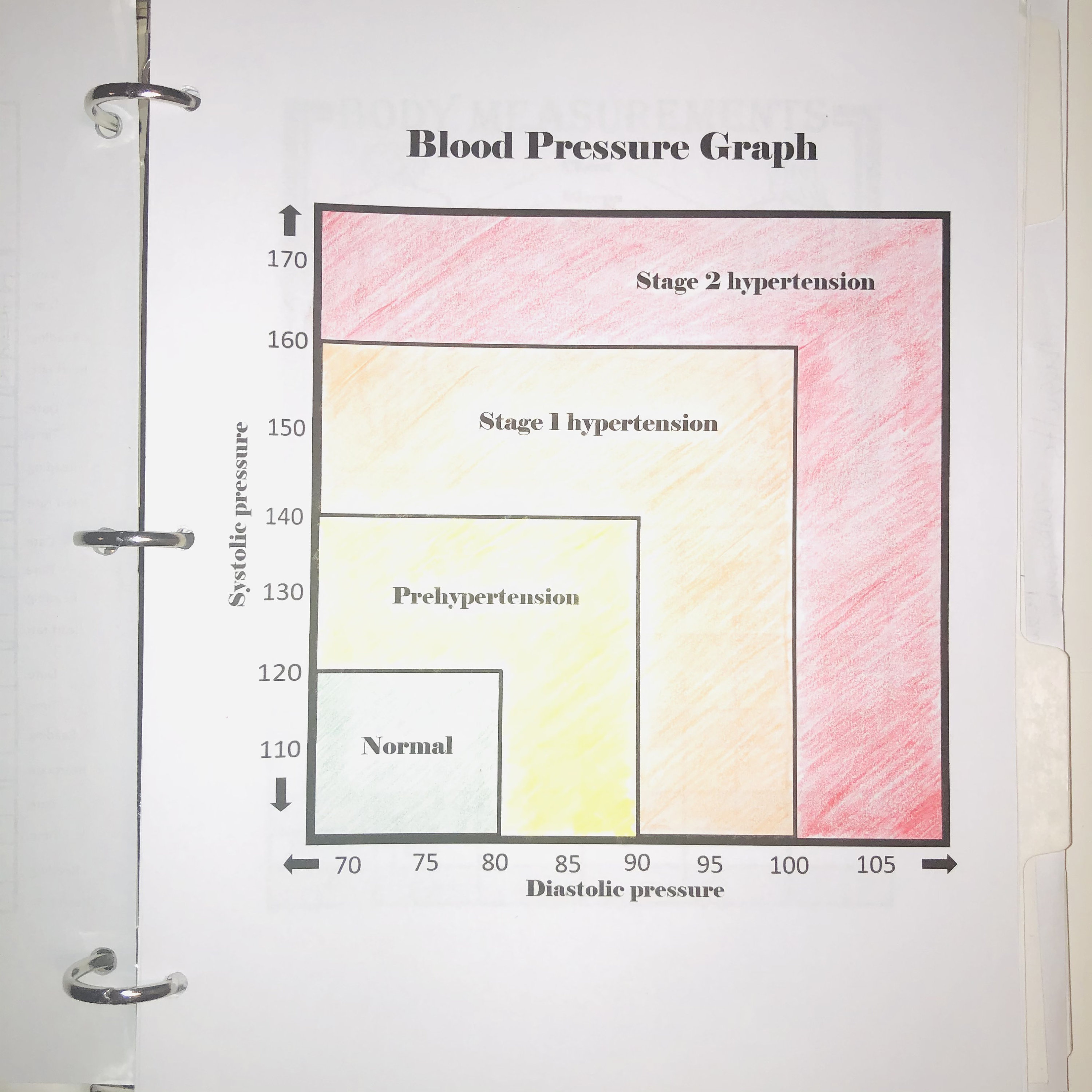 Blood Pressure Tracker / Blood Pressure Graph / Printable - Etsy UK