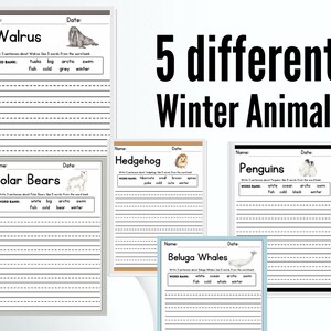 Winter Animals Writing 1st Grade. Beluga Whales, Penguins, Polar Bears ...